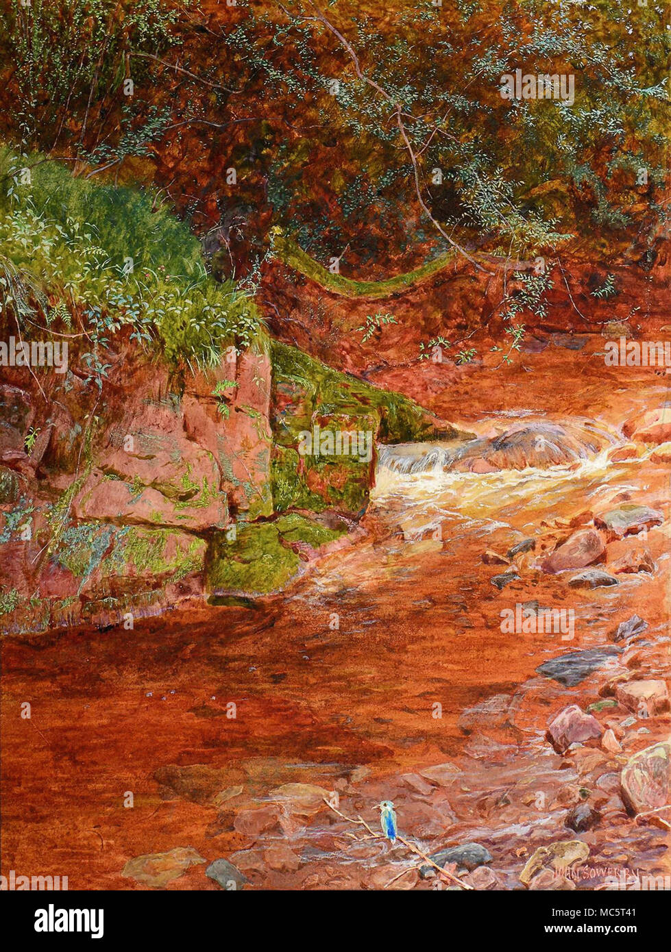 George Sowerby High Resolution Stock Photography and Images - Alamy