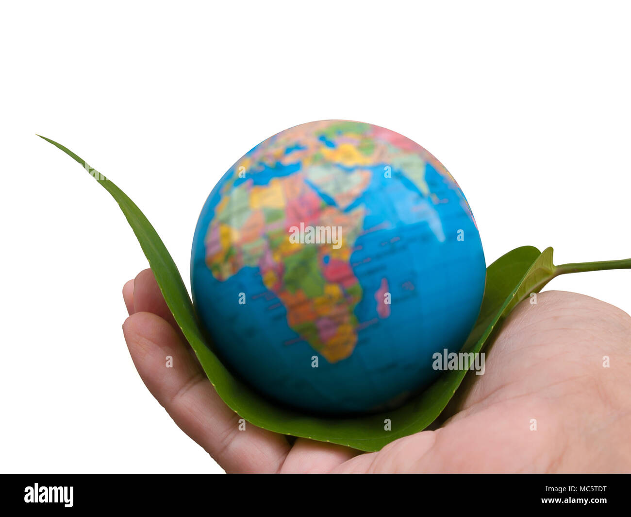 Conservation World , Caring for the Earth by planting trees Stock Photo ...