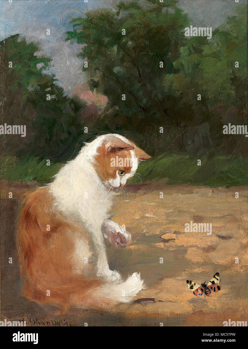 Istvanffy-Rainerne Gabriella - the Cat and the Butterfly Stock Photo ...