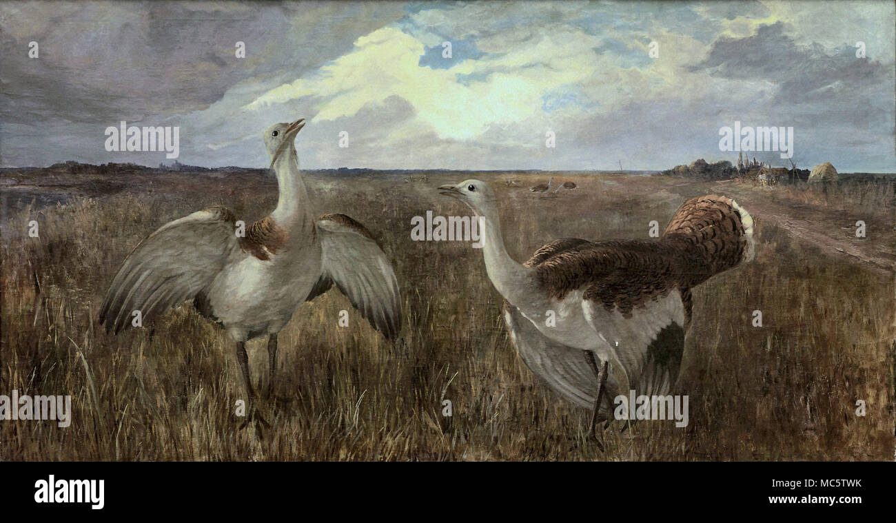 Modrovich Gabor - Bustards in a Puszta Landscape Stock Photo - Alamy