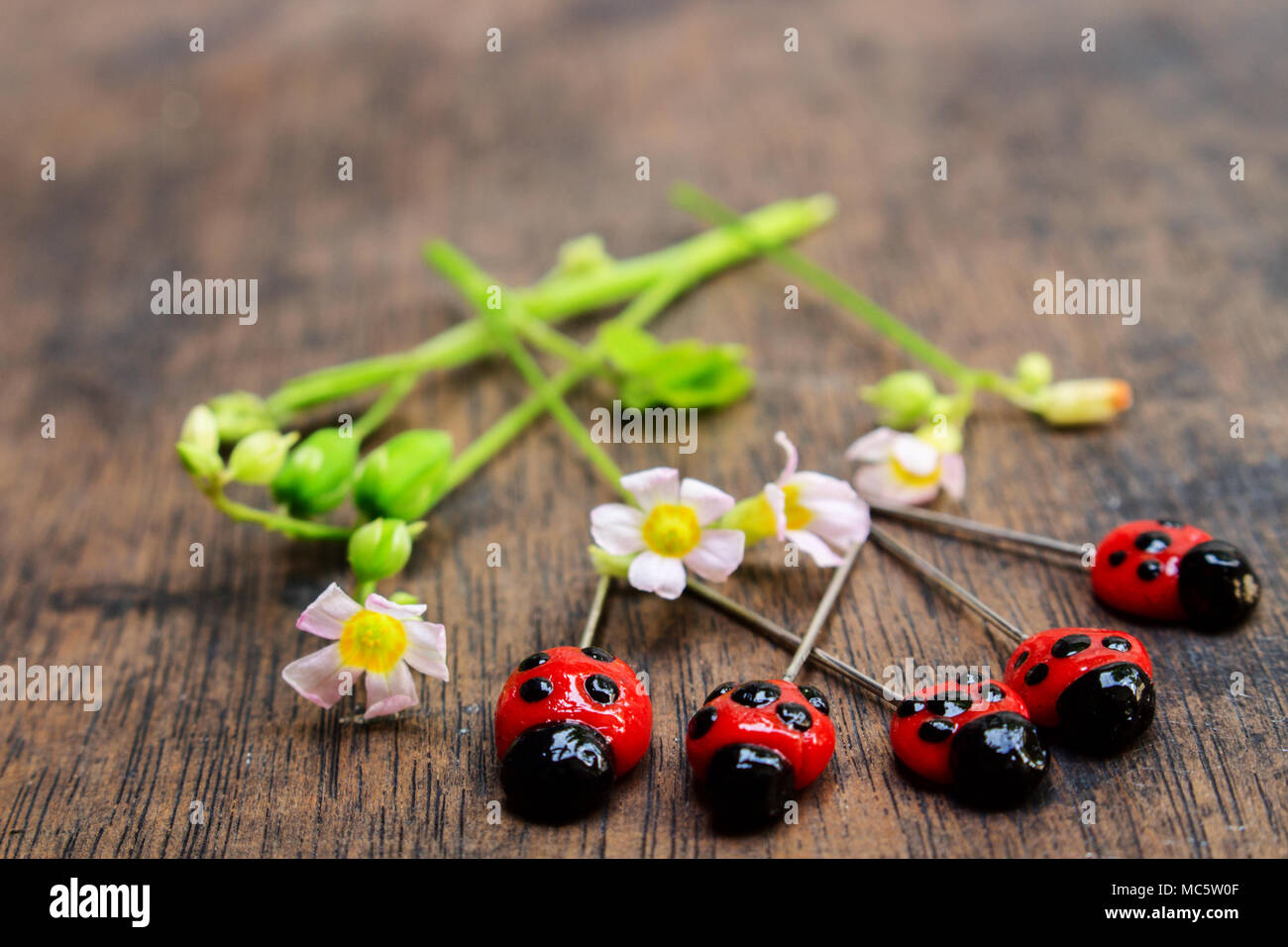 A Line of Lady Bug Clay Pins With Wild Flower on Old Wood Stock Photo ...