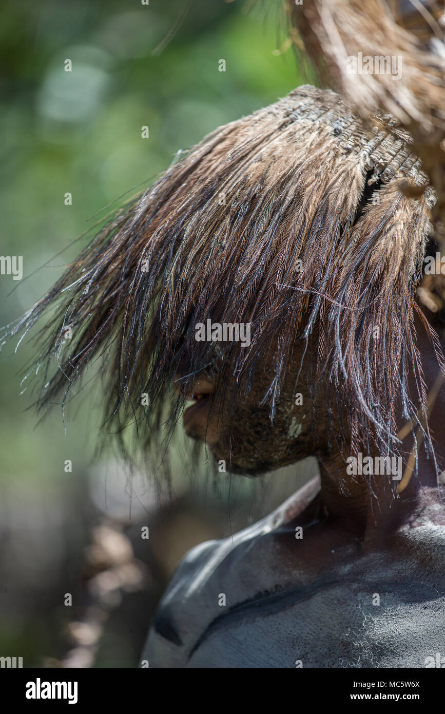 Body covering of feathers hi-res stock photography and images - Alamy