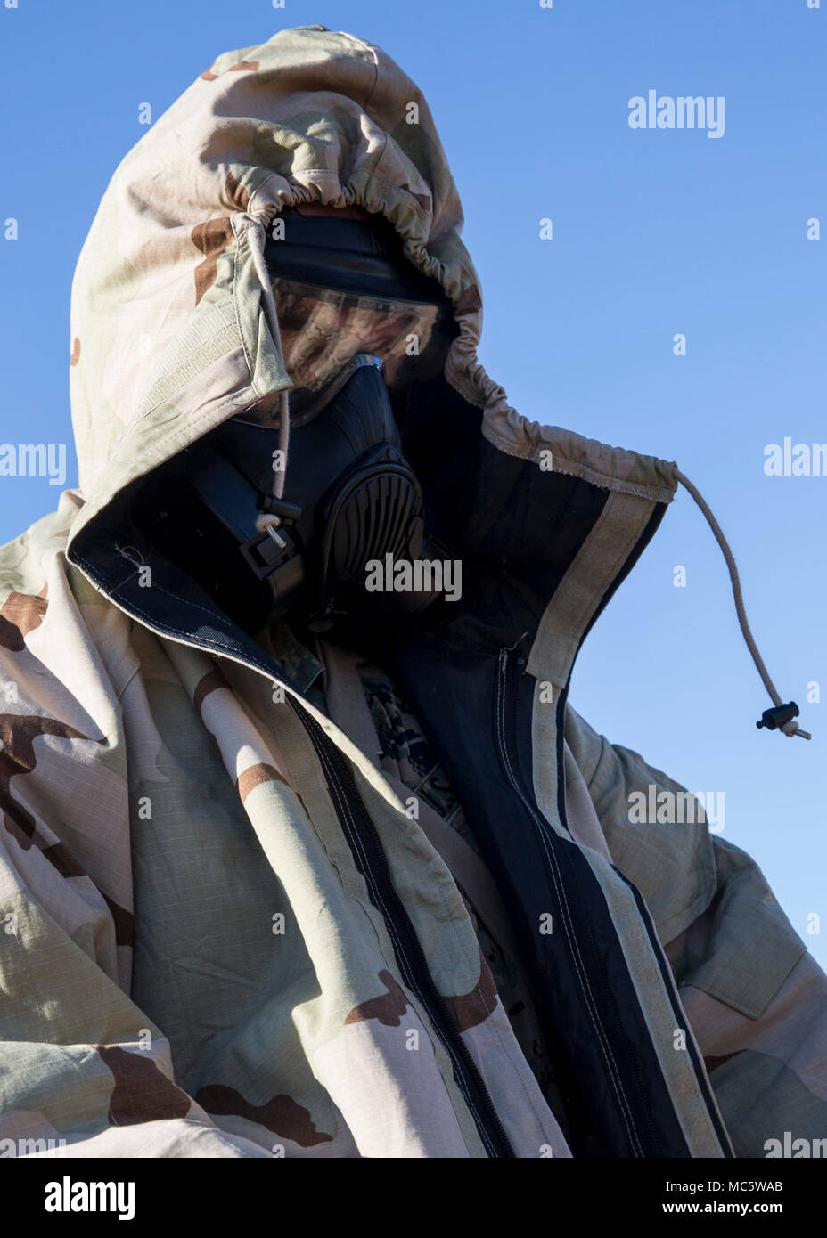 Cpl. Ashten Derickson, a cyber network operator with 3rd Marine ...