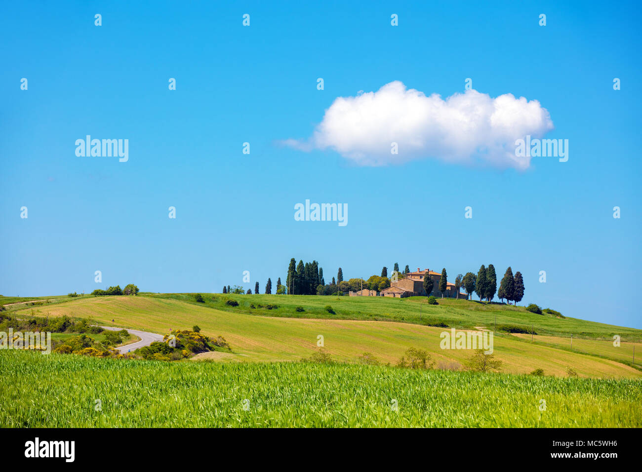 Beautiful nature of Italy. Tuscany landscape in spring Stock Photo - Alamy