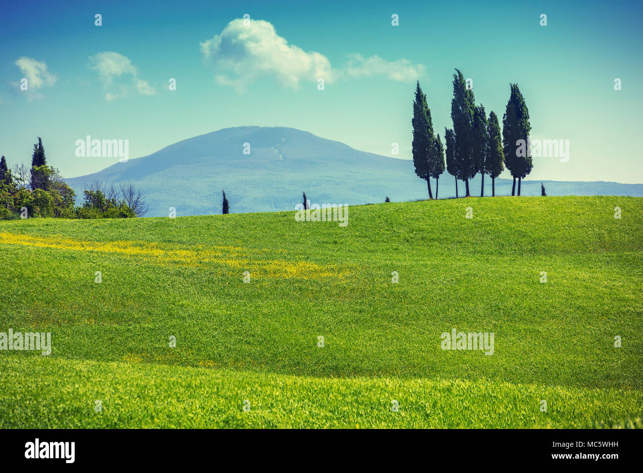 Tuscany flower fields hi-res stock photography and images - Alamy