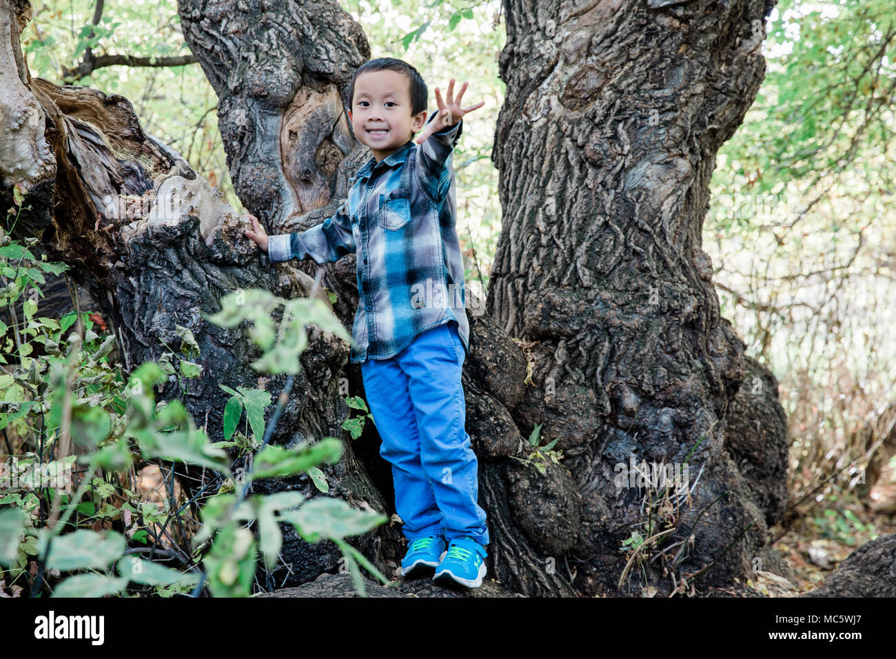 Boy standing under tree hi-res stock photography and images - Alamy