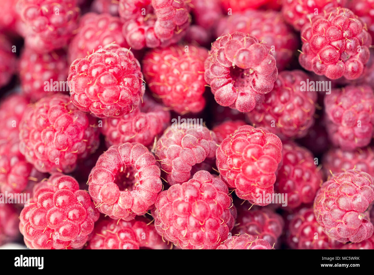 Natural raspberry background Stock Photo - Alamy