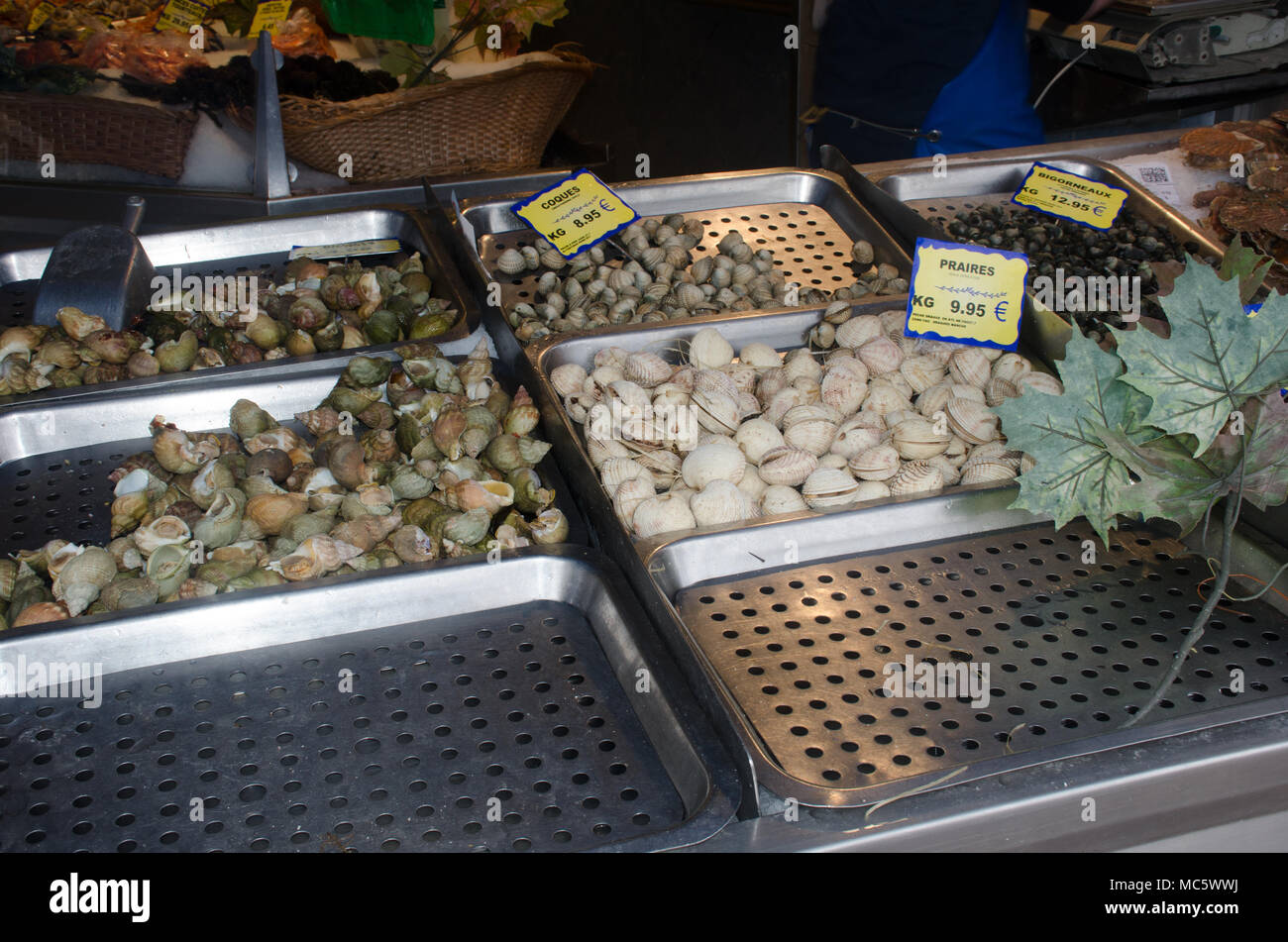 Seashells for sale as food Stock Photo - Alamy