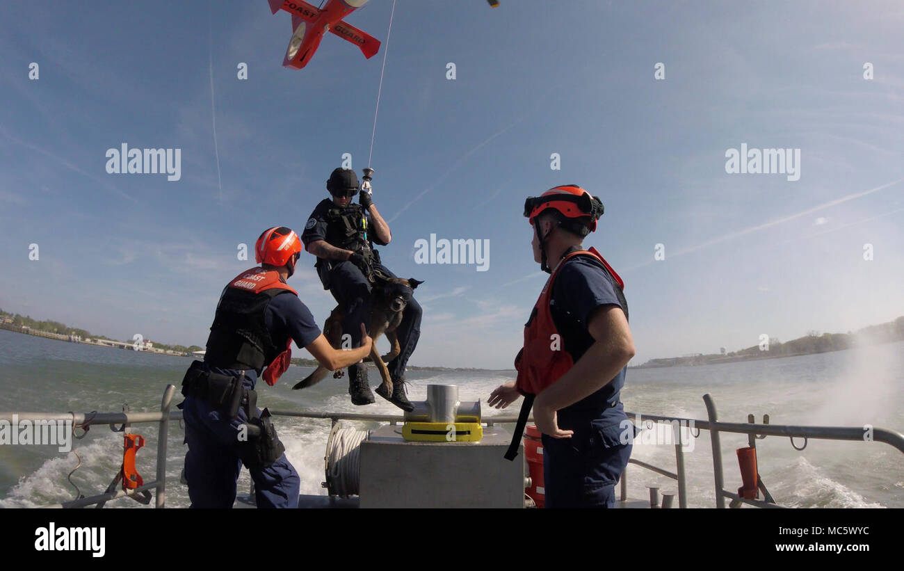 Canine explosive detection team hi-res stock photography and images - Alamy