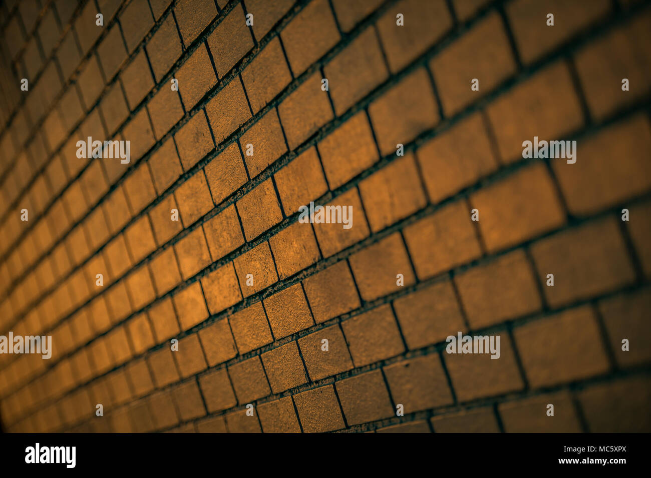 Brick Wall Close-up Detail with Orange Sunset Colour Stock Photo - Alamy