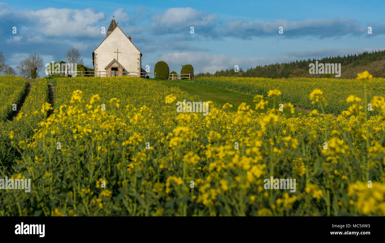 St Hubert's Church with Rapeseed Crops in the Field: Idsworth - UK ...