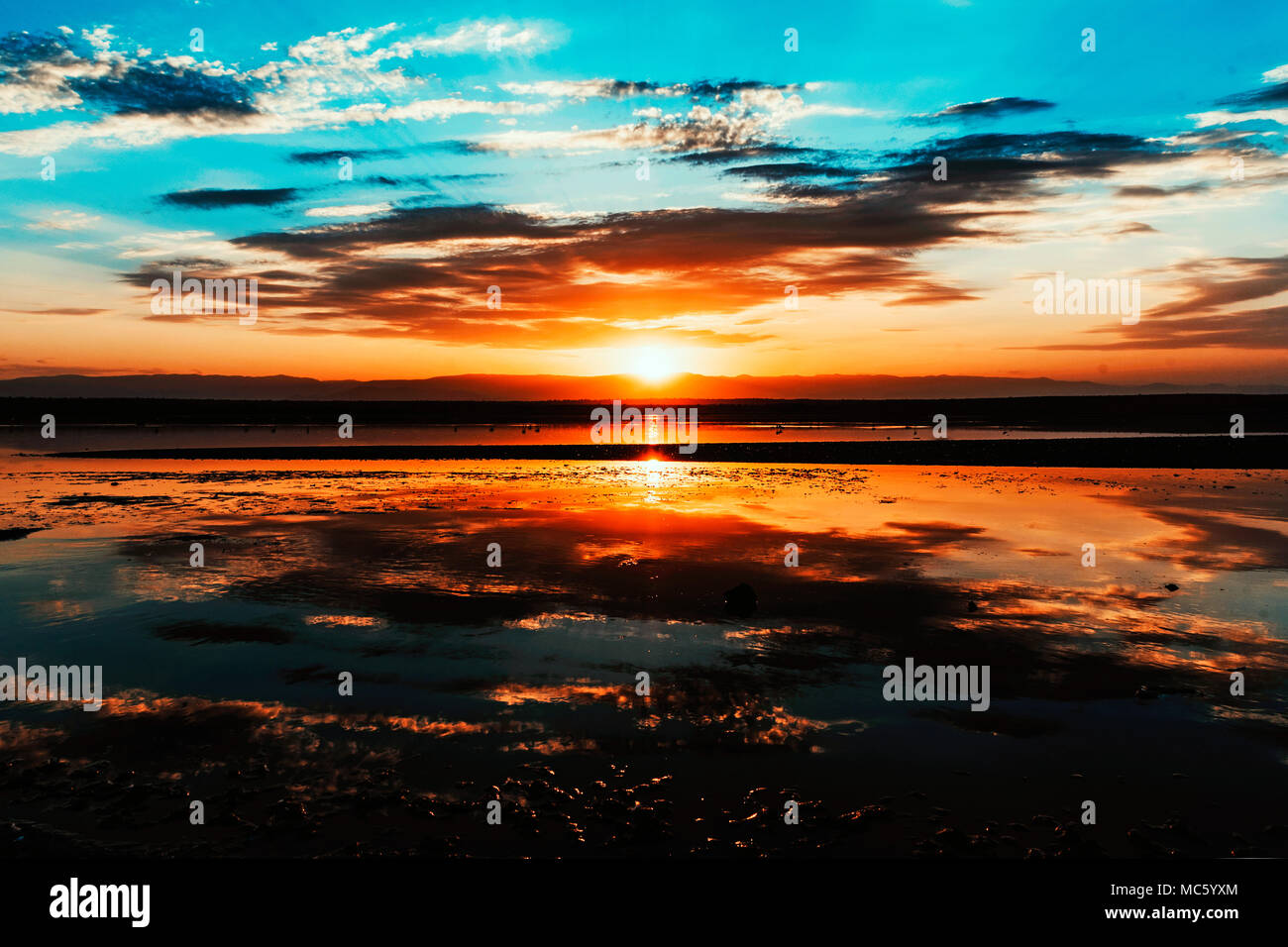 Beauty from around Magical Kenya Stock Photo - Alamy