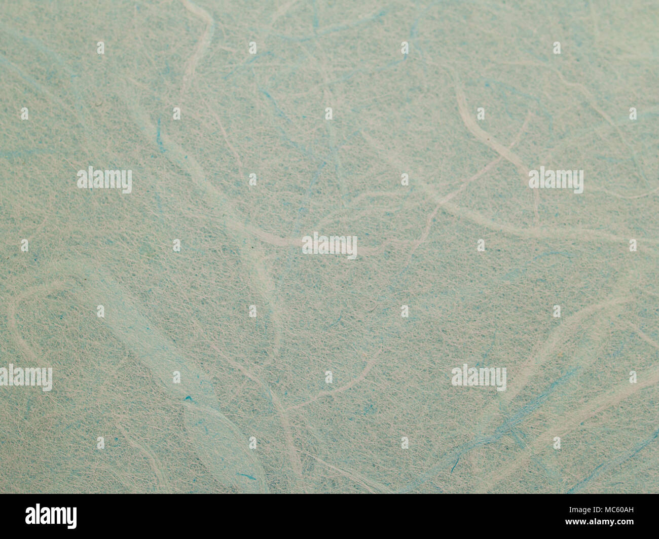 Beautiful mulberry beauty hi-res stock photography and images - Alamy