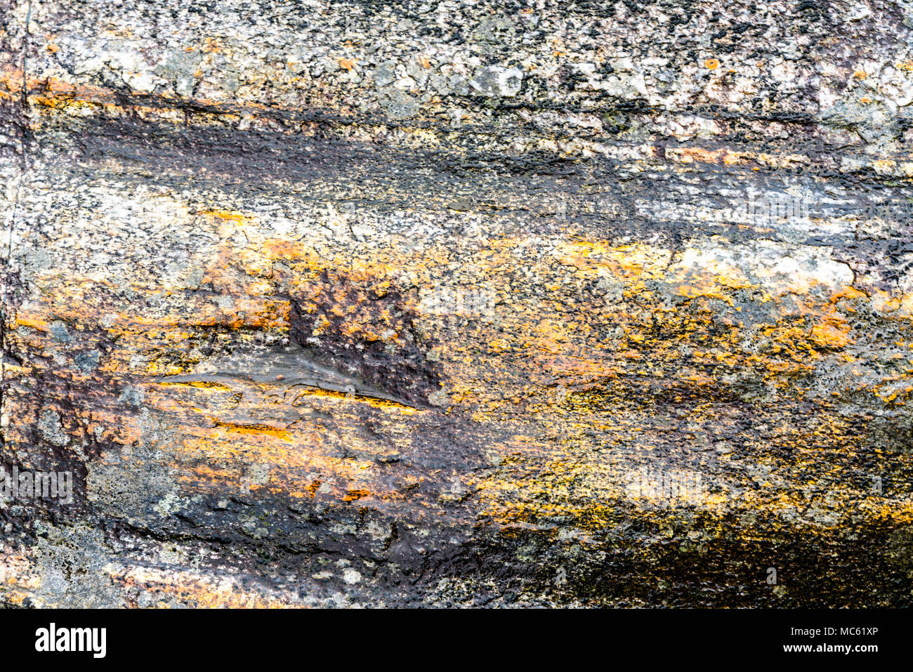 Granite gneiss hi-res stock photography and images - Alamy