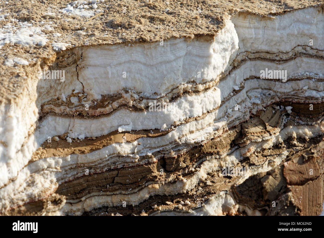Concentrated salt deposits hi-res stock photography and images - Alamy