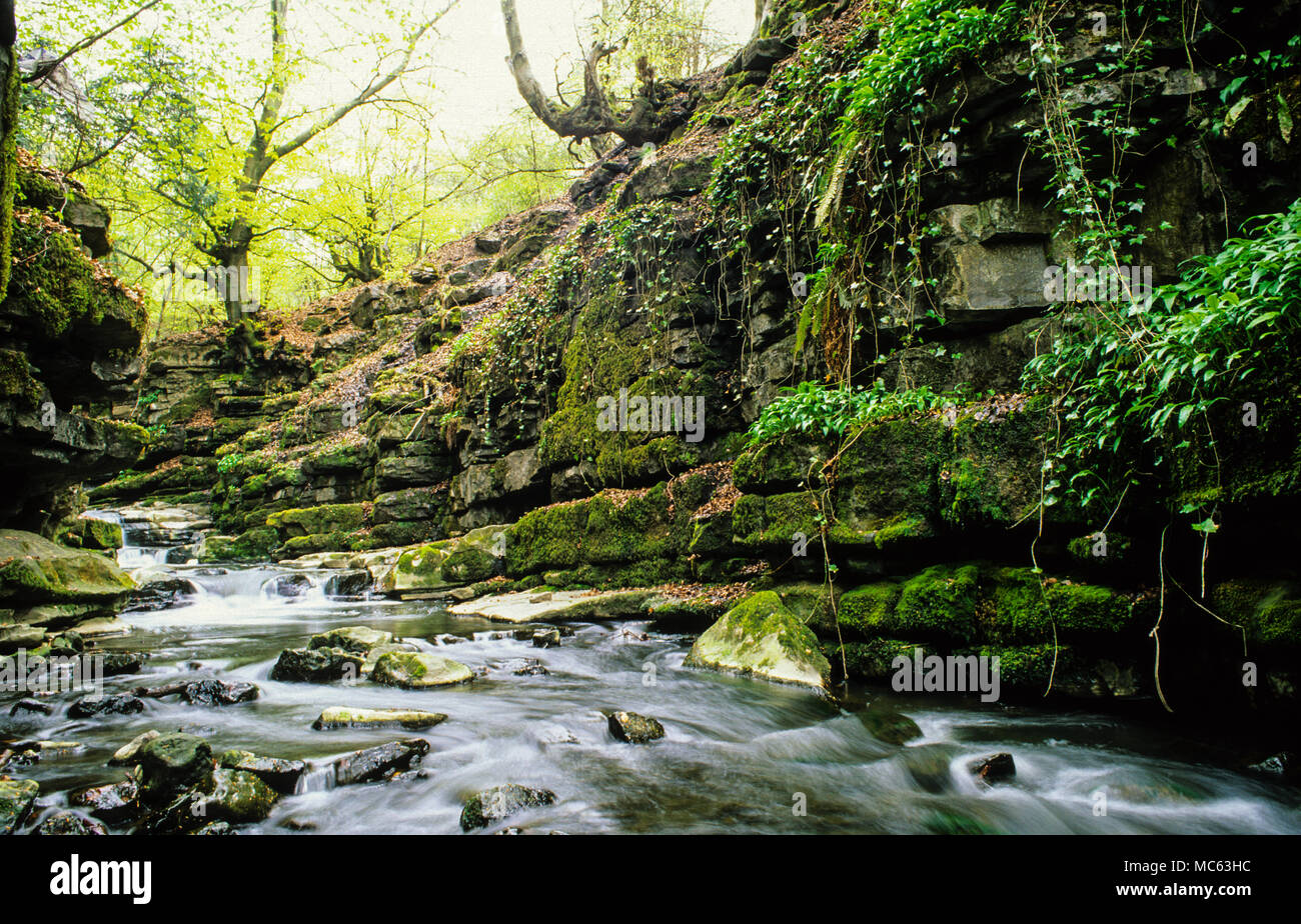 Waterfalls, Clydach Gorge, Gwent, Wales, UK, GB Stock Photo - Alamy