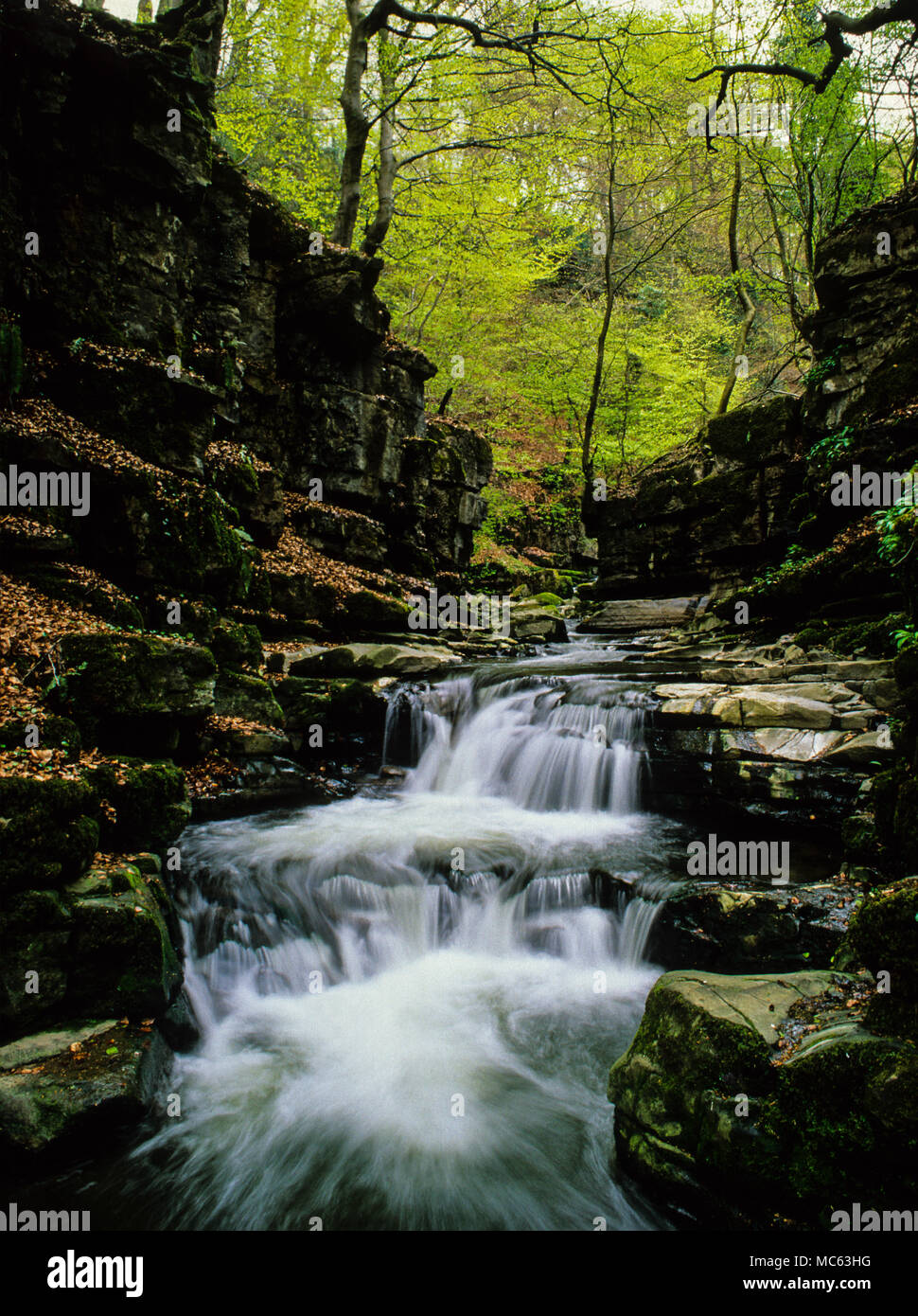 Clydach hi-res stock photography and images - Alamy