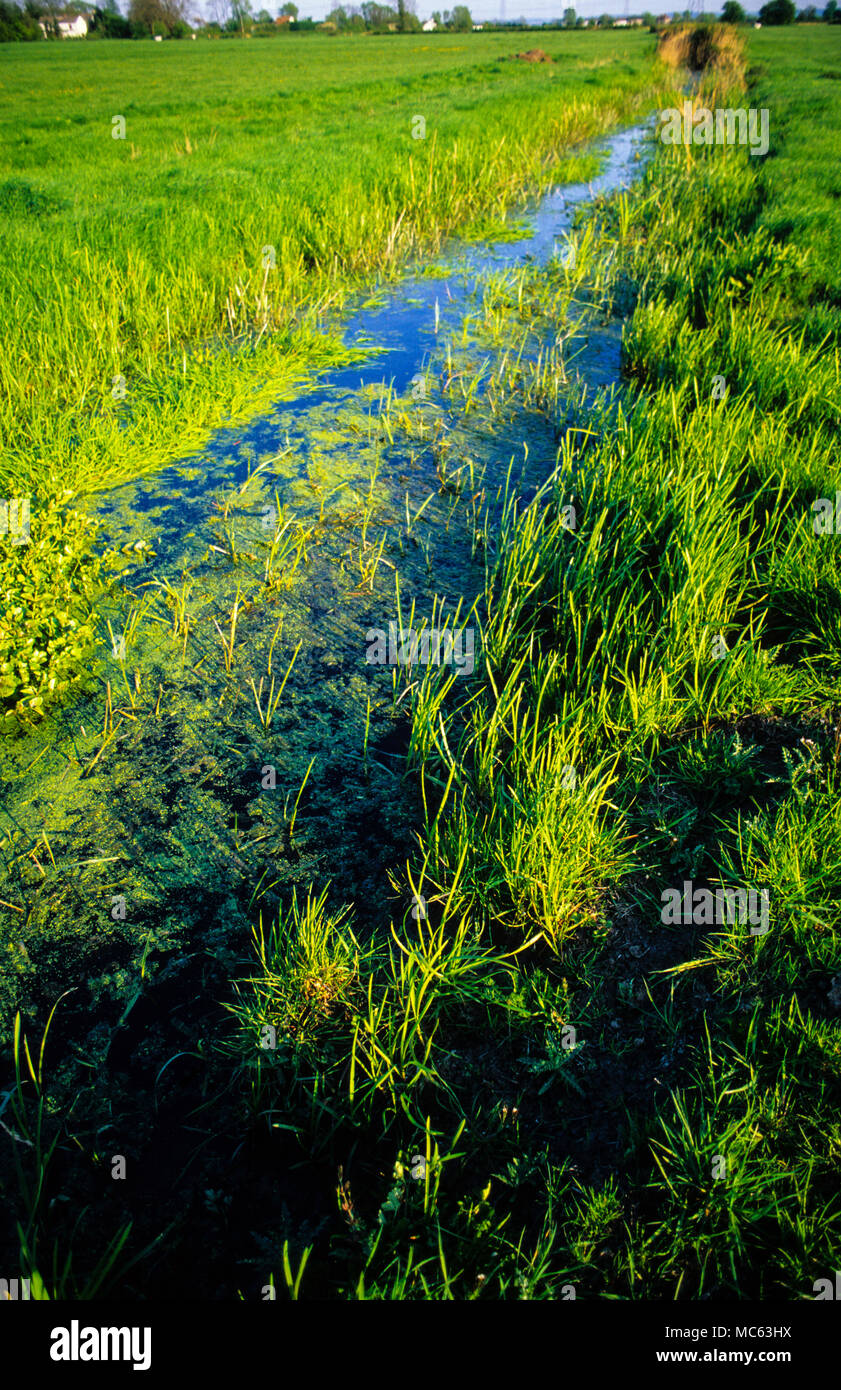 Gwent levels m4 hi-res stock photography and images - Alamy