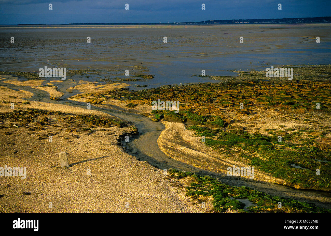 Salisbury Bank, Moyston Docks, River Dee Estuary, Clwyd, Wales, UK, GB ...