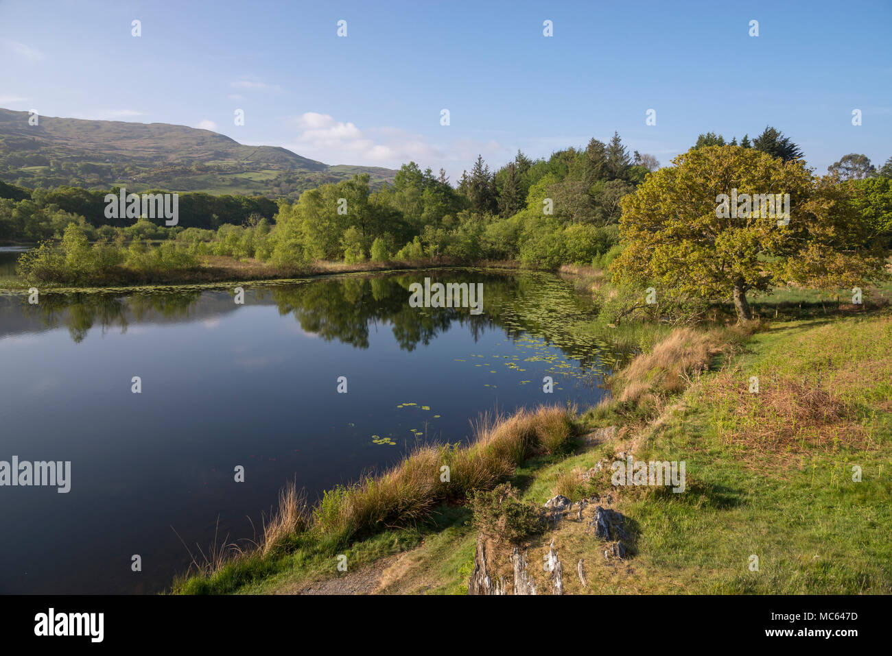 Bryn bwbach hi-res stock photography and images - Alamy