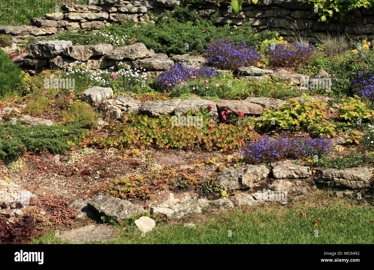 flowers on the rocks garden design Stock Photo - Alamy