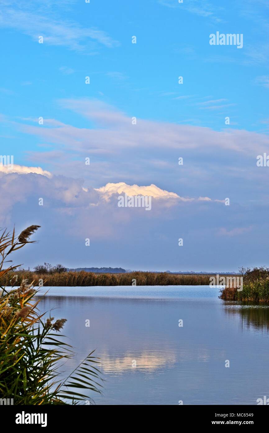Palic nature hi-res stock photography and images - Alamy
