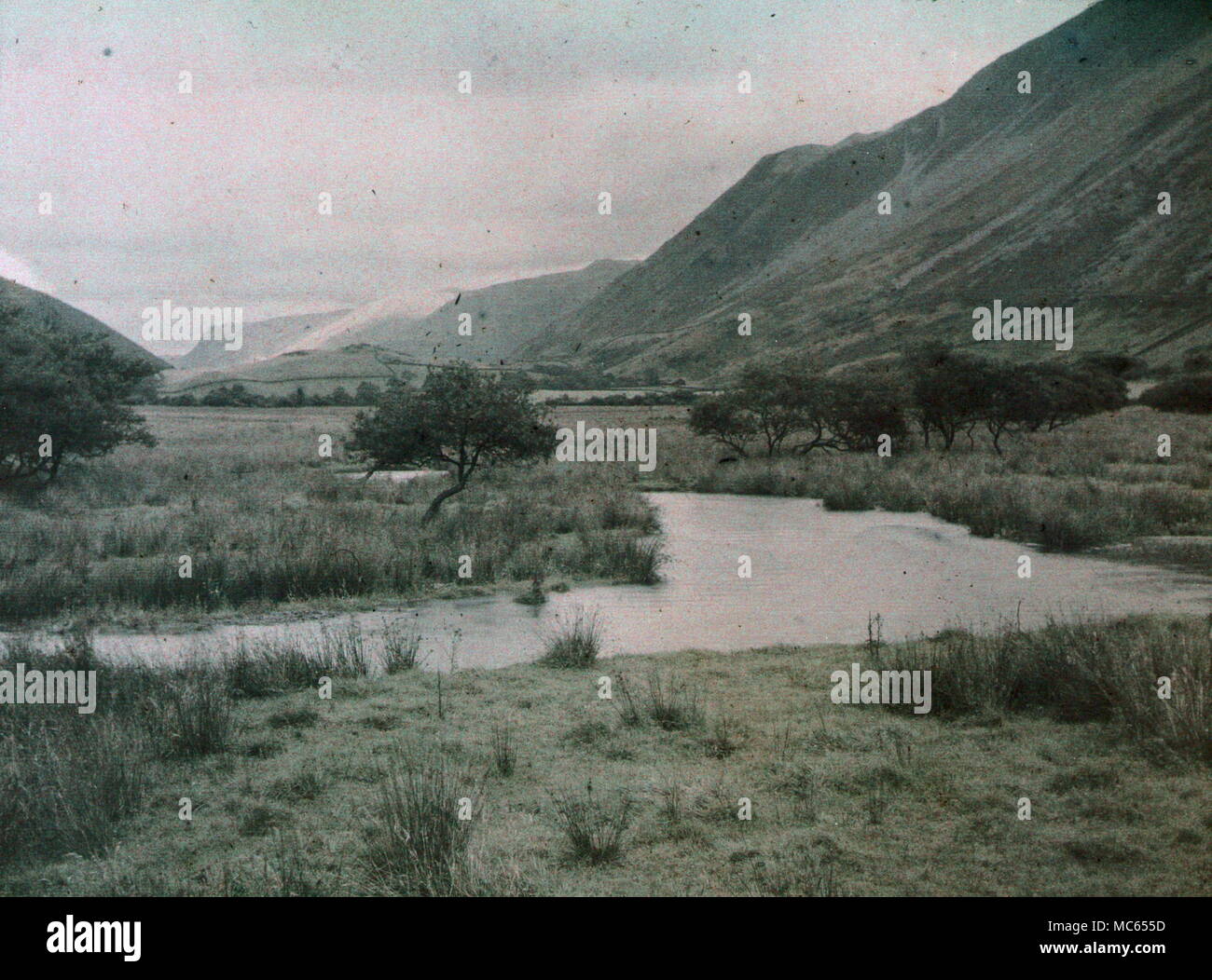 41 picture hi-res stock photography and images - Alamy