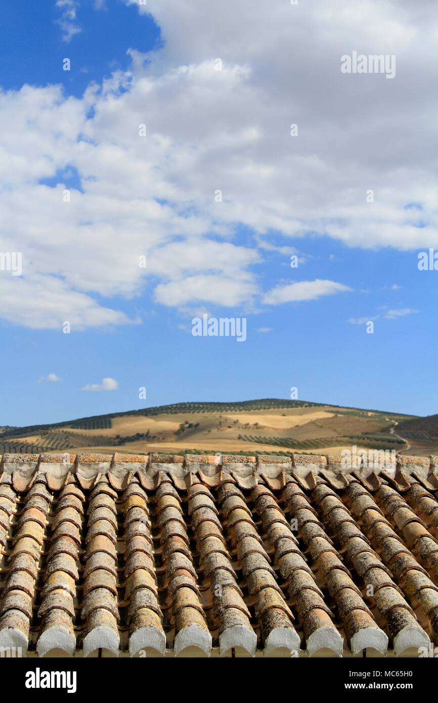 Spanish tiles blue hi-res stock photography and images - Alamy