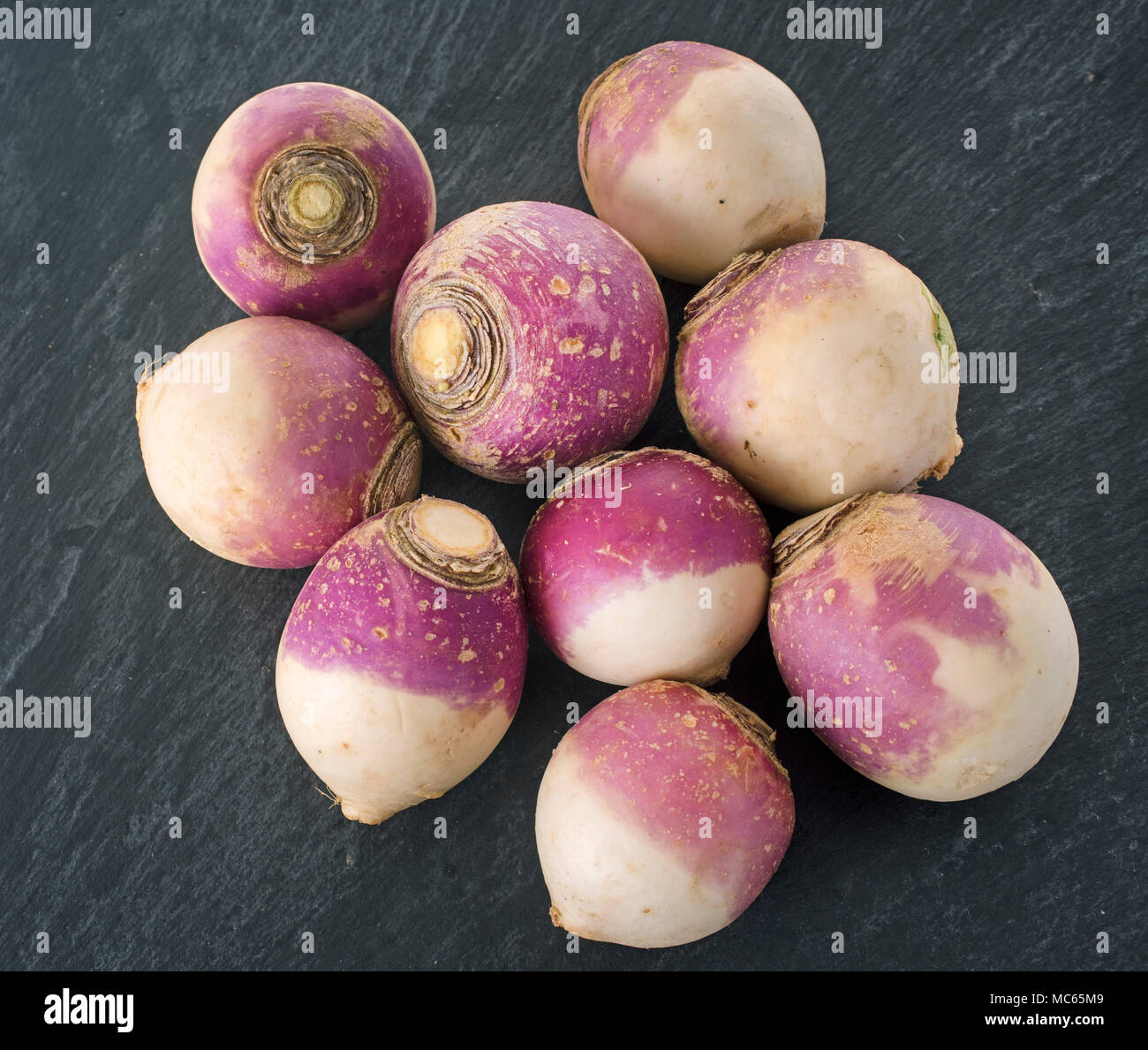 Brassica rapa in front of white background Stock Photo - Alamy