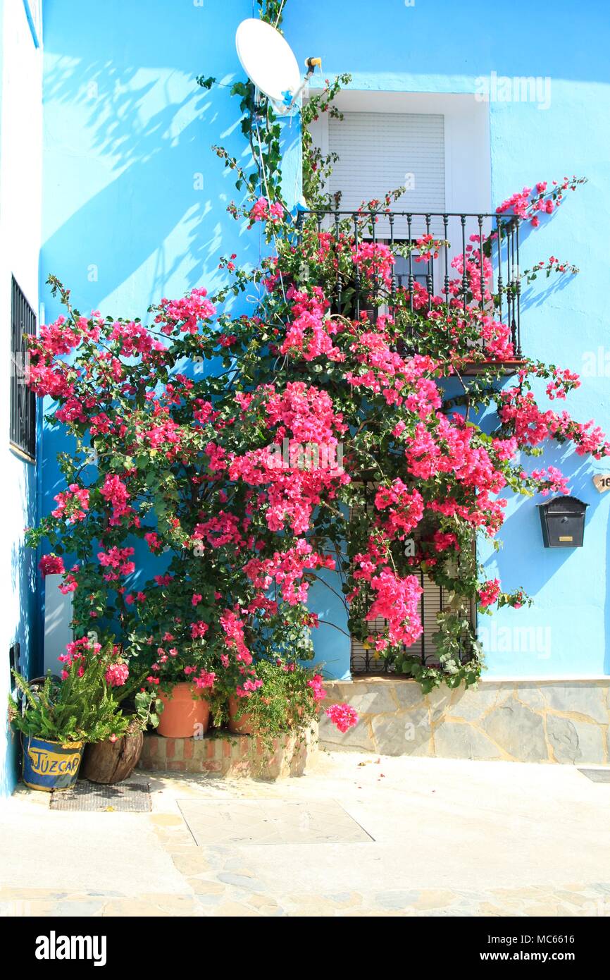 The blue walled Village of Juzcar, Malaga, Spain Stock Photo - Alamy