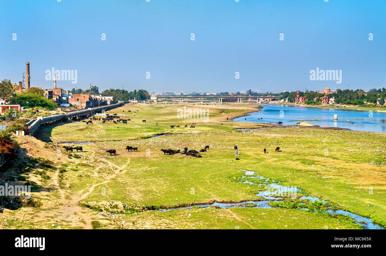 The Yamuna river in Agra city. India Stock Photo - Alamy