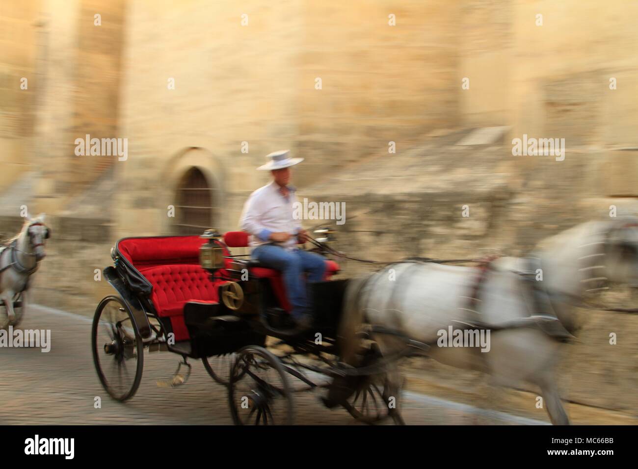 Empty carriage hi-res stock photography and images - Alamy