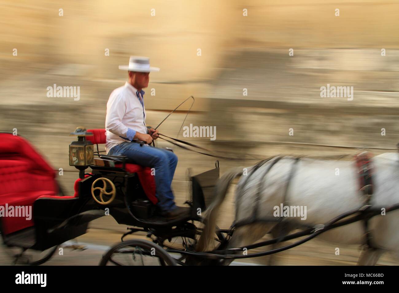 Empty carriage hi-res stock photography and images - Alamy