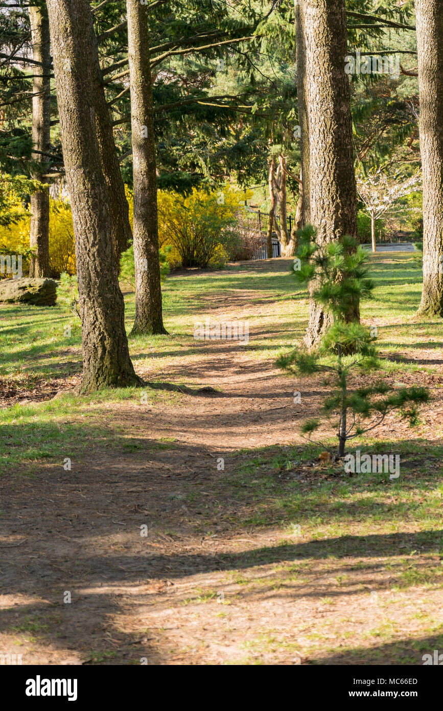 Pathway through the park hi-res stock photography and images - Alamy