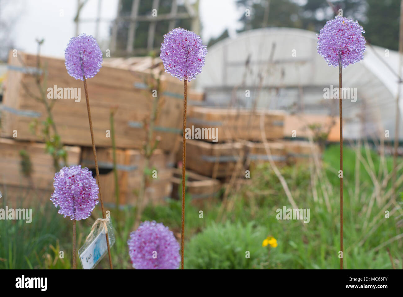 Allium garden ornament hi-res stock photography and images - Alamy