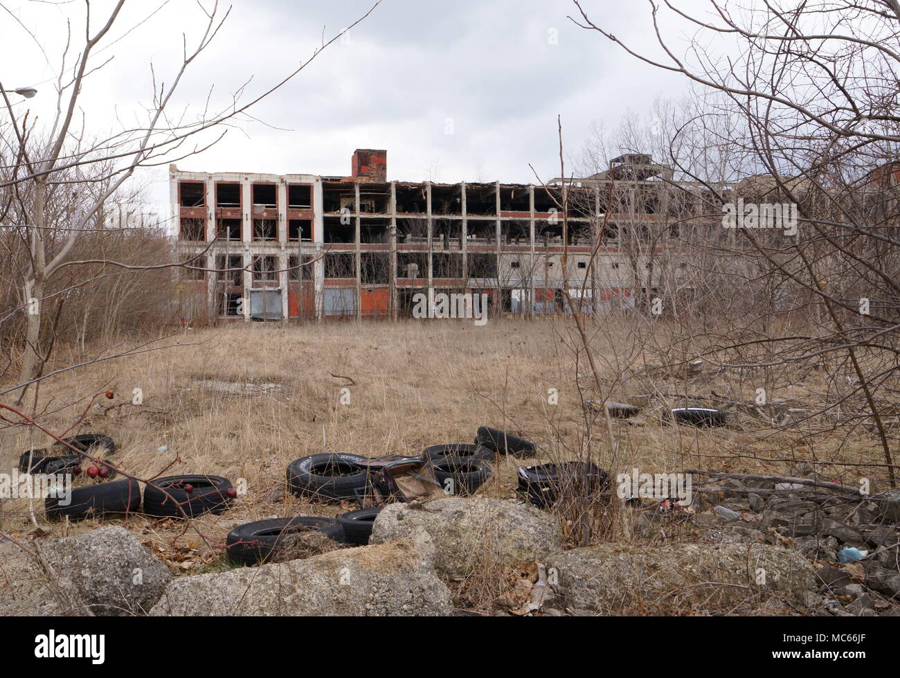 The old Packard factory abandoned, Detroit Stock Photo - Alamy