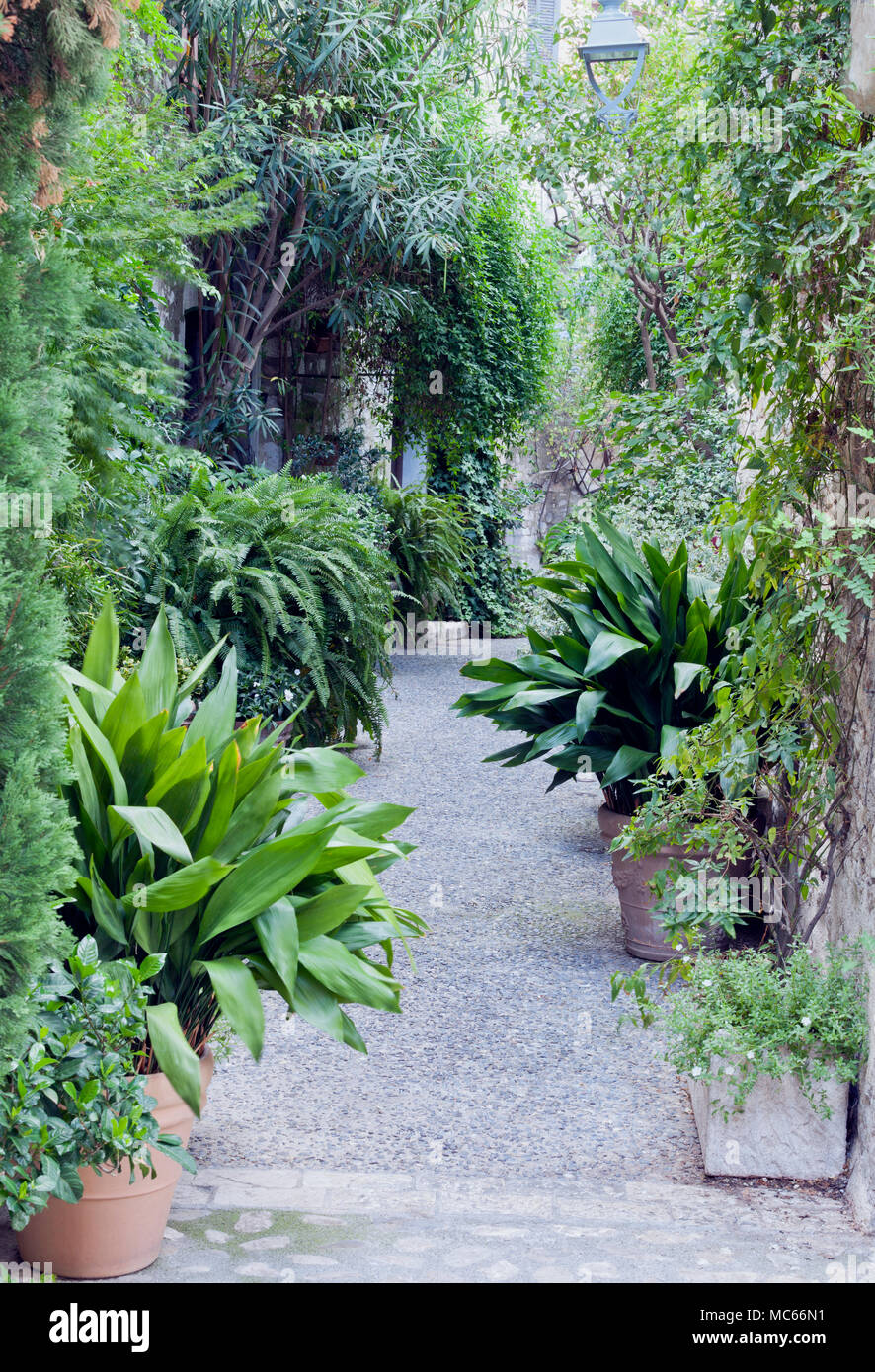Narrow Garden Path Stock Photos & Narrow Garden Path Stock Images - Alamy