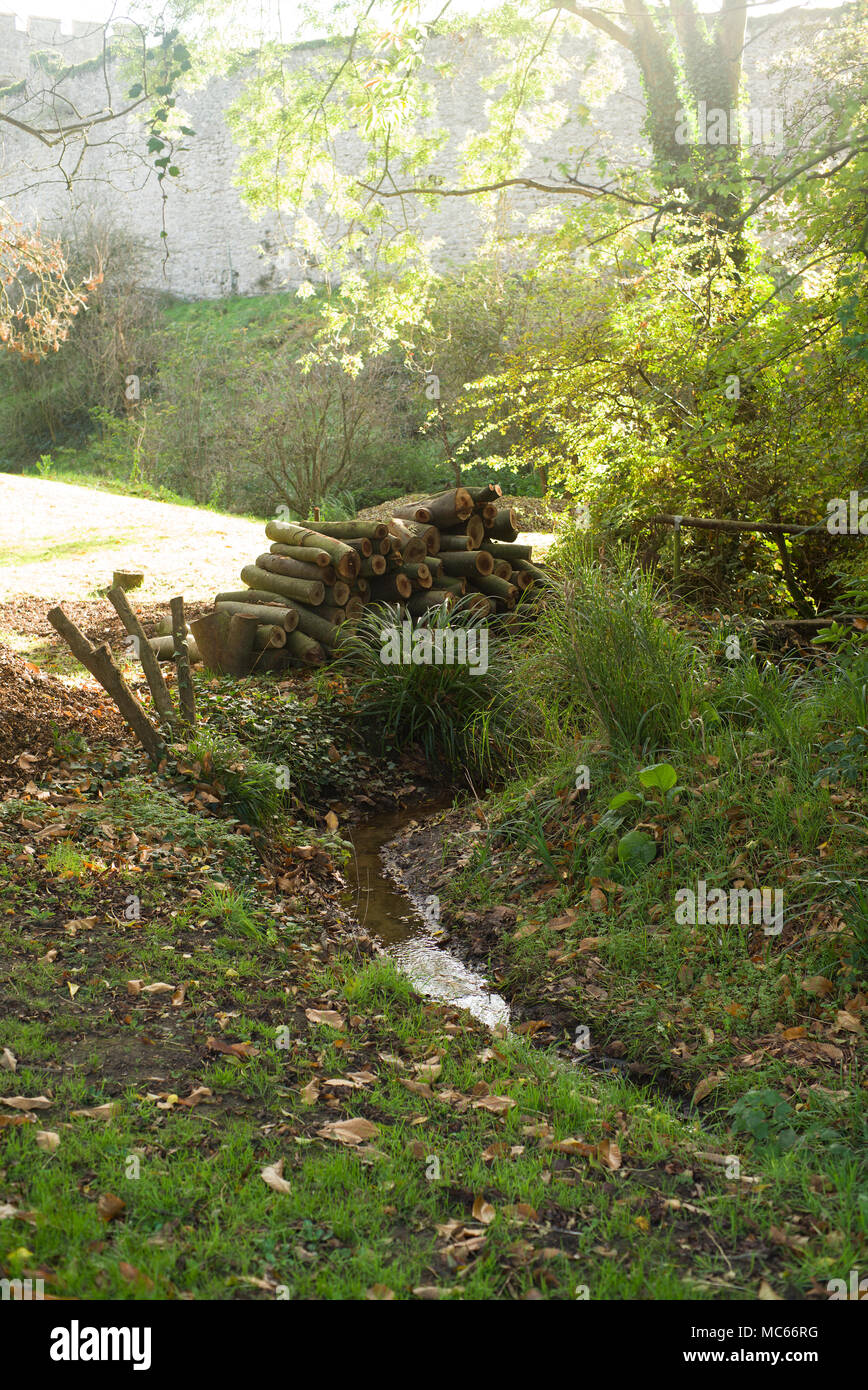 Logs by a stream in the woods Stock Photo - Alamy