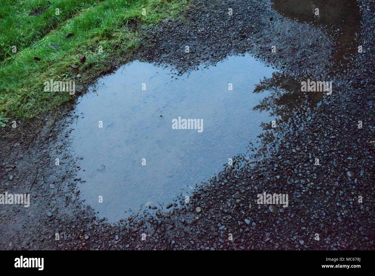 Heart Shape Puddle Stock Photo - Alamy