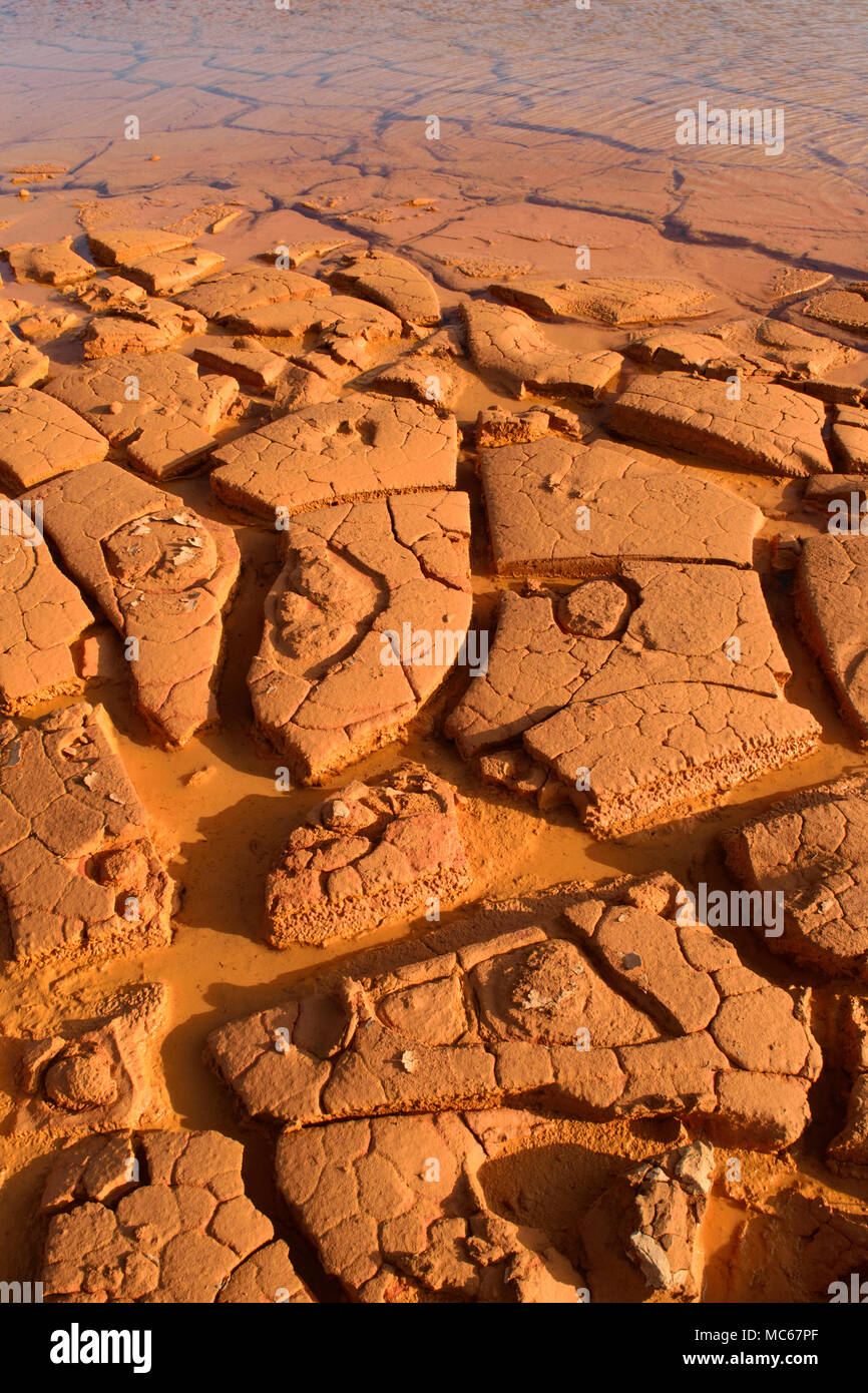 natural pattern, texture, abstract and background in nature Stock Photo ...