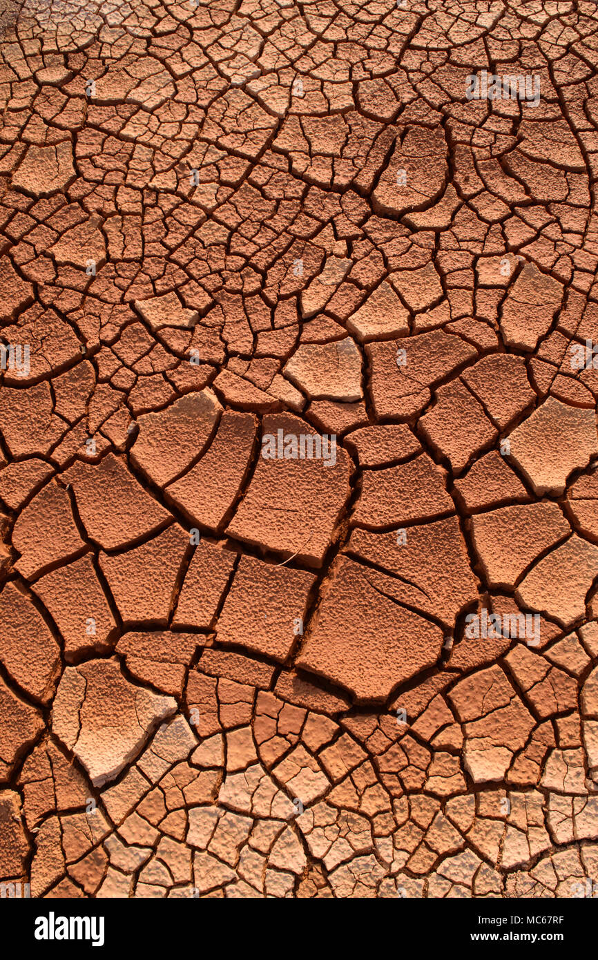 Natural pattern hi-res stock photography and images - Alamy