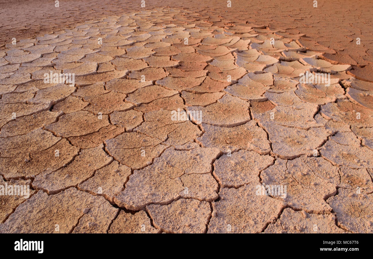 natural pattern, texture, abstract and background in nature Stock Photo ...