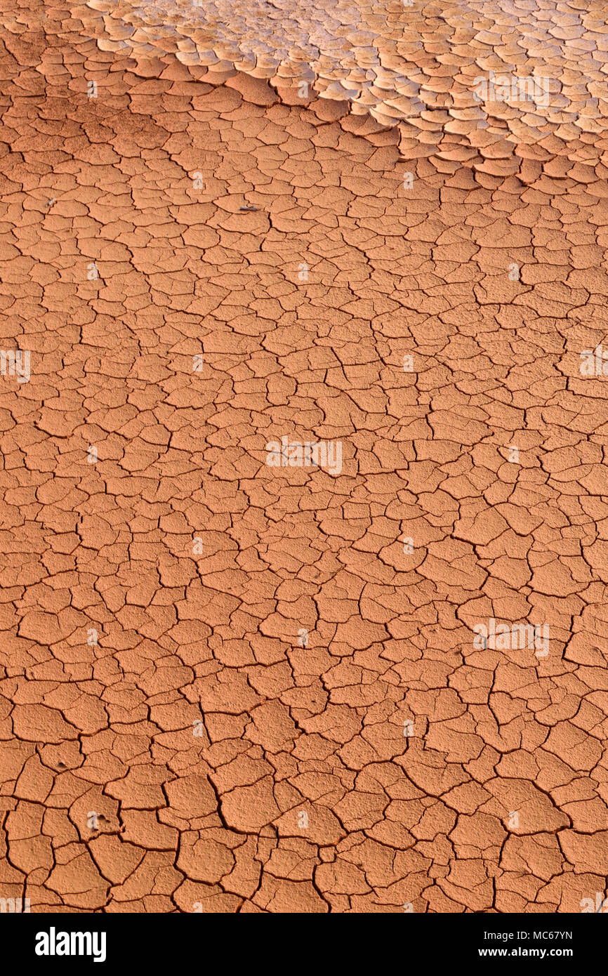 natural pattern, texture, abstract and background in nature Stock Photo ...