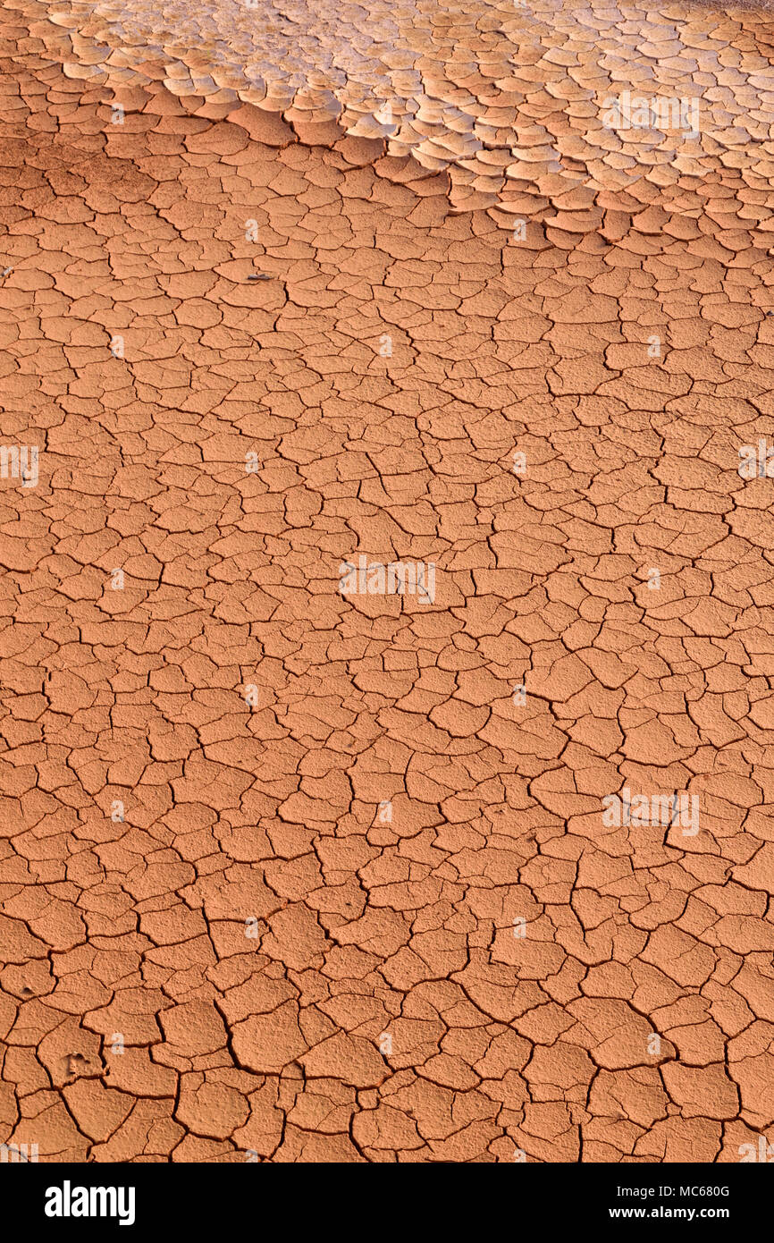 natural pattern, texture, abstract and background in nature Stock Photo ...