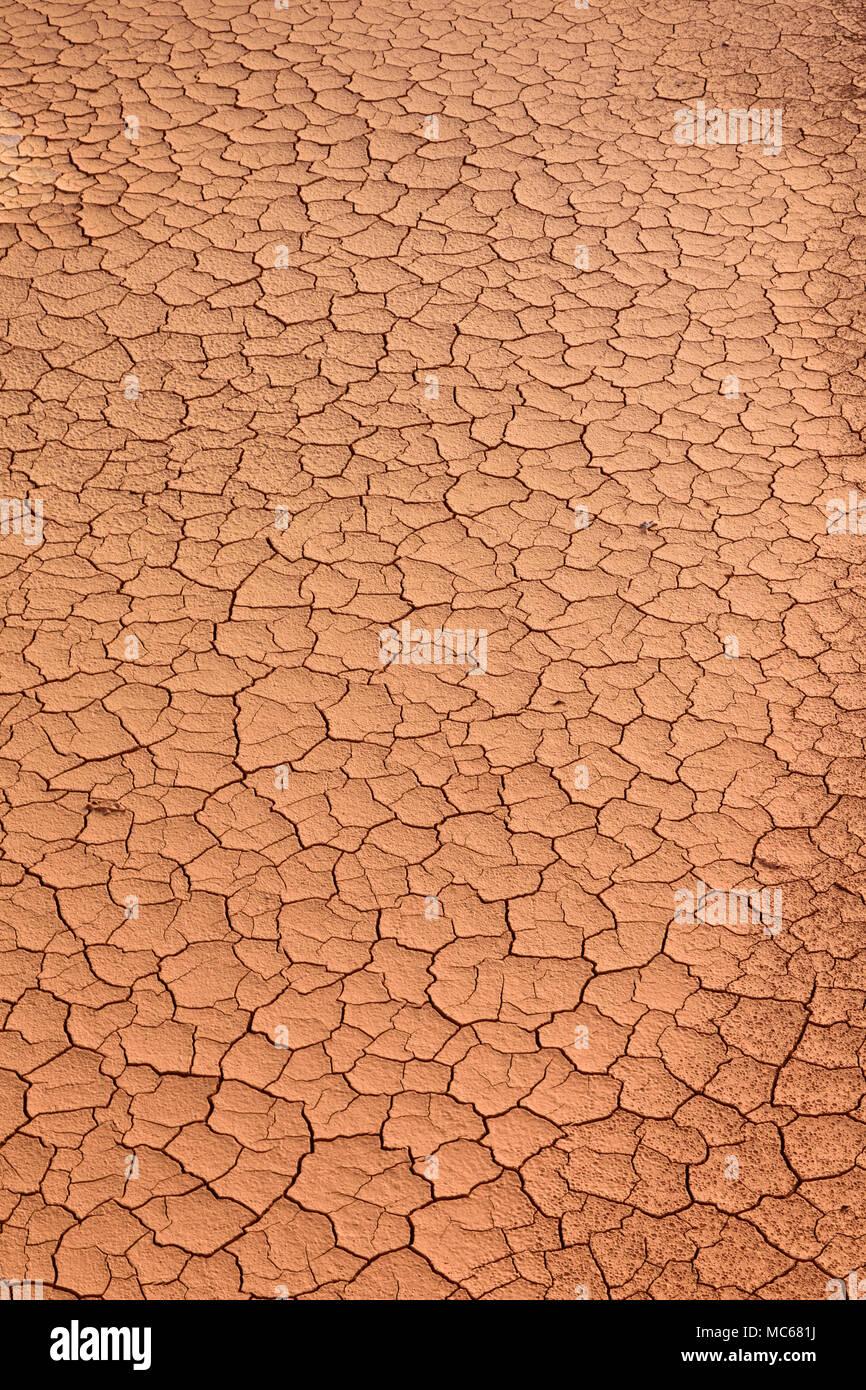 natural pattern, texture, abstract and background in nature Stock Photo ...