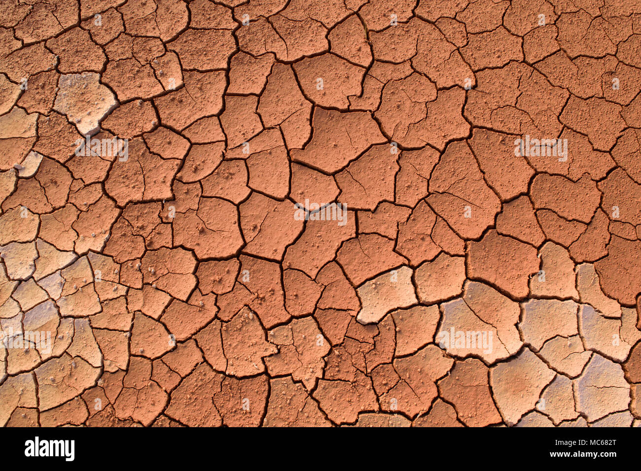 natural pattern, texture, abstract and background in nature Stock Photo ...