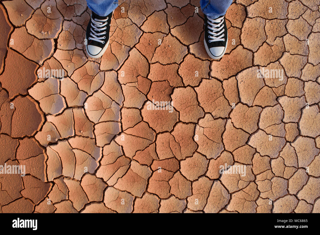 natural pattern, texture, abstract and background in nature Stock Photo ...