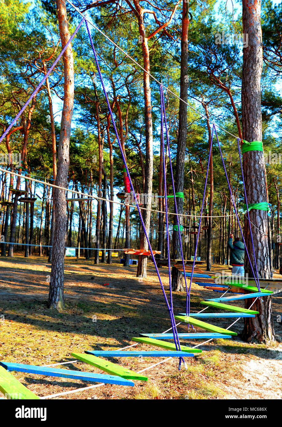 colorful elements of a rope park in the forest Stock Photo - Alamy