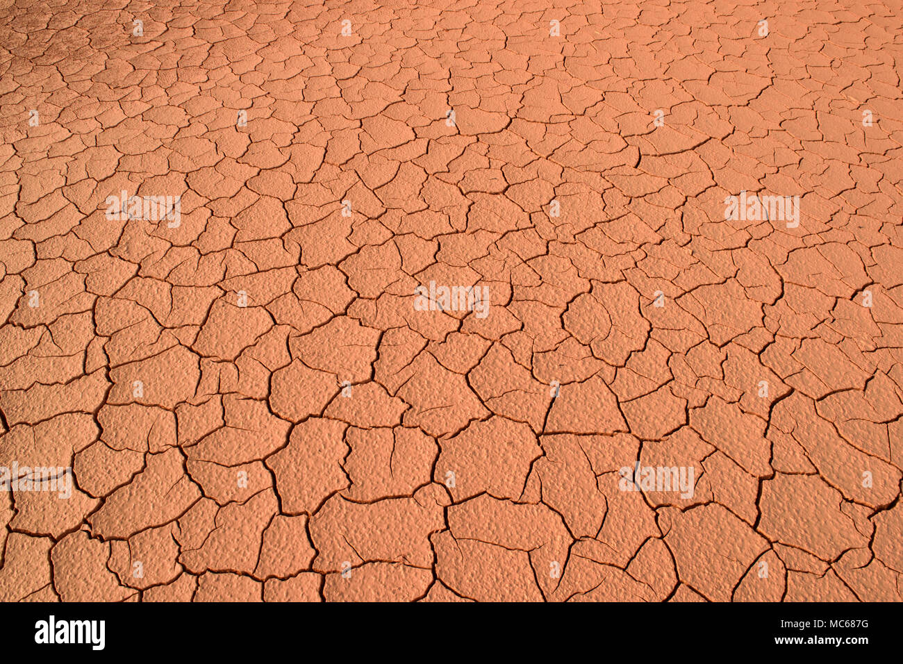 natural pattern, texture, abstract and background in nature Stock Photo ...