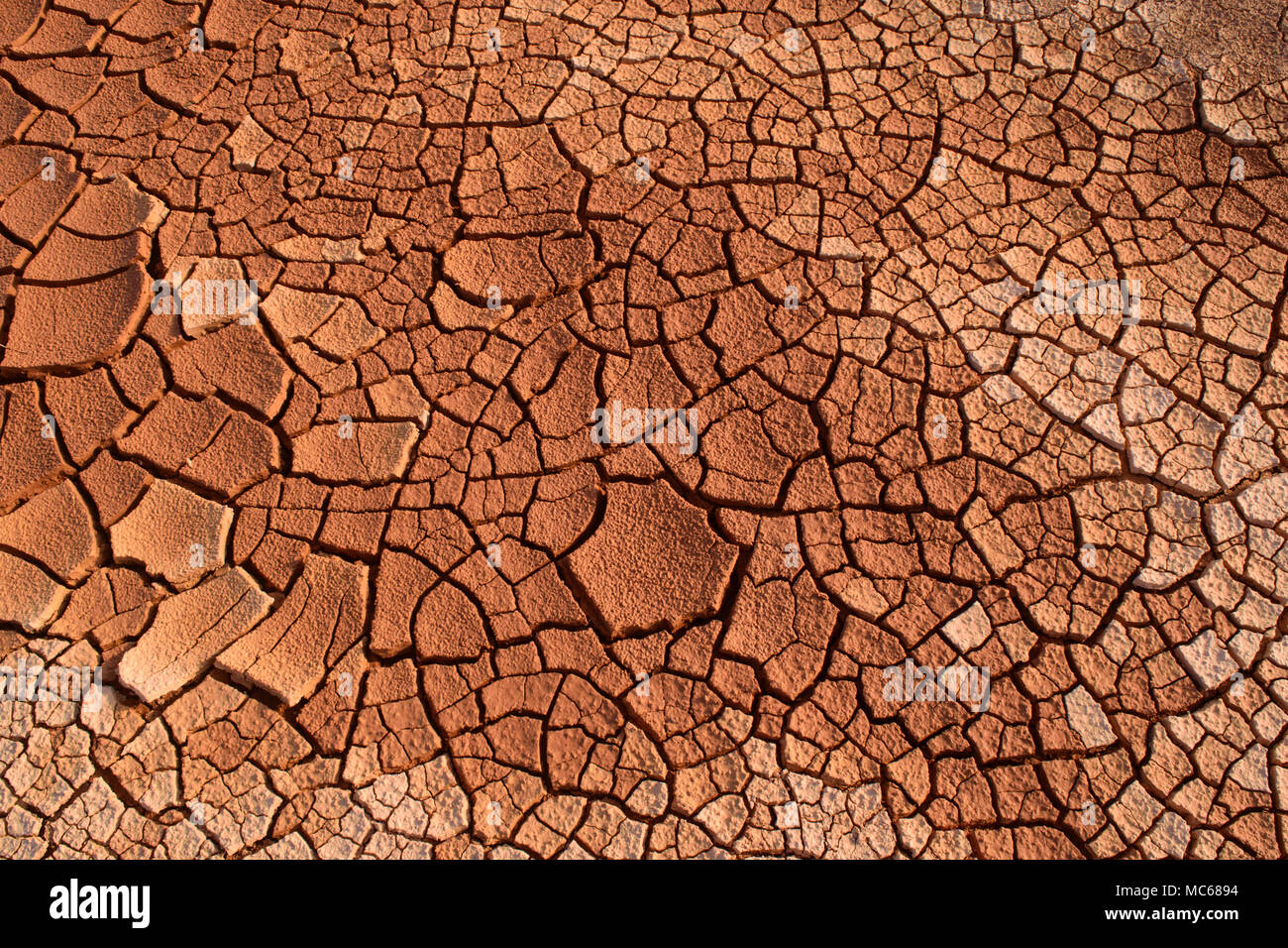 natural pattern, texture, abstract and background in nature Stock Photo ...